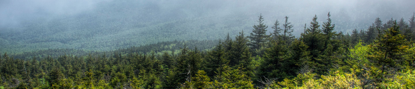 Contact Us - Network for Landscape Conservation