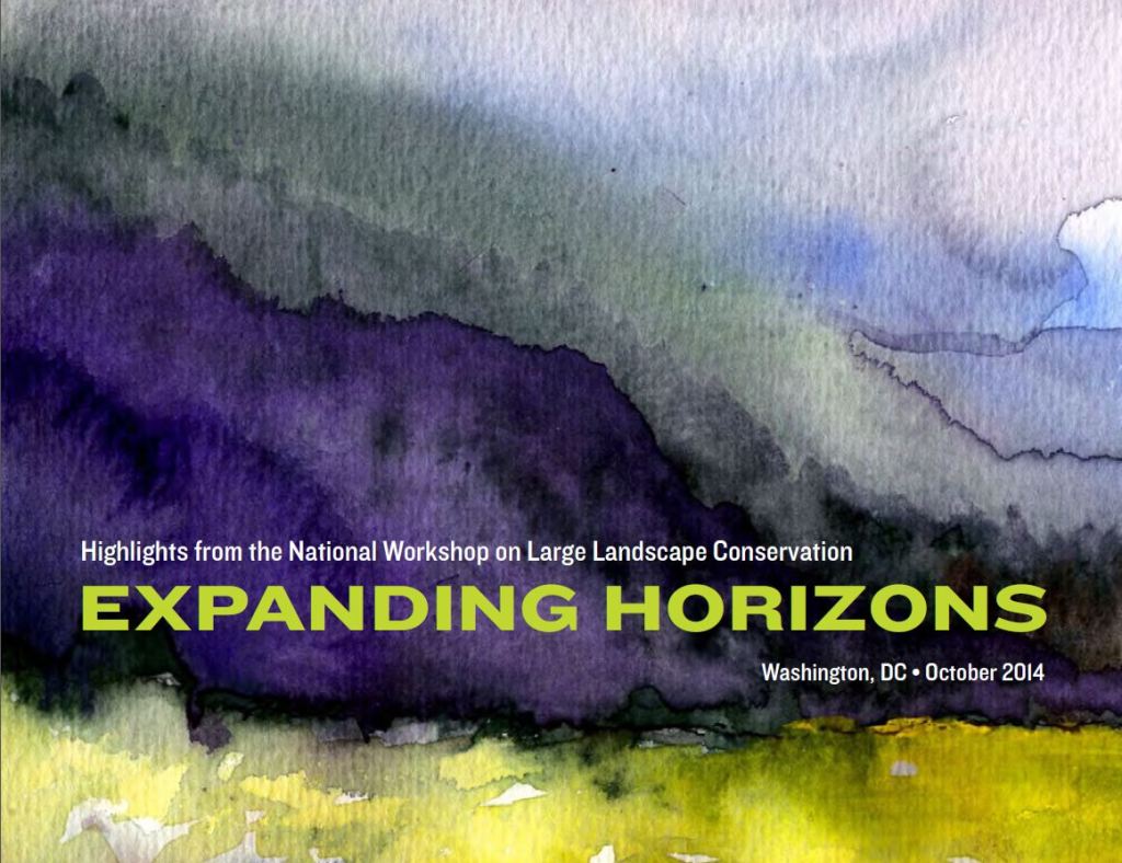 Expanding Horizons: Highlights from the National Workshop on Large ...