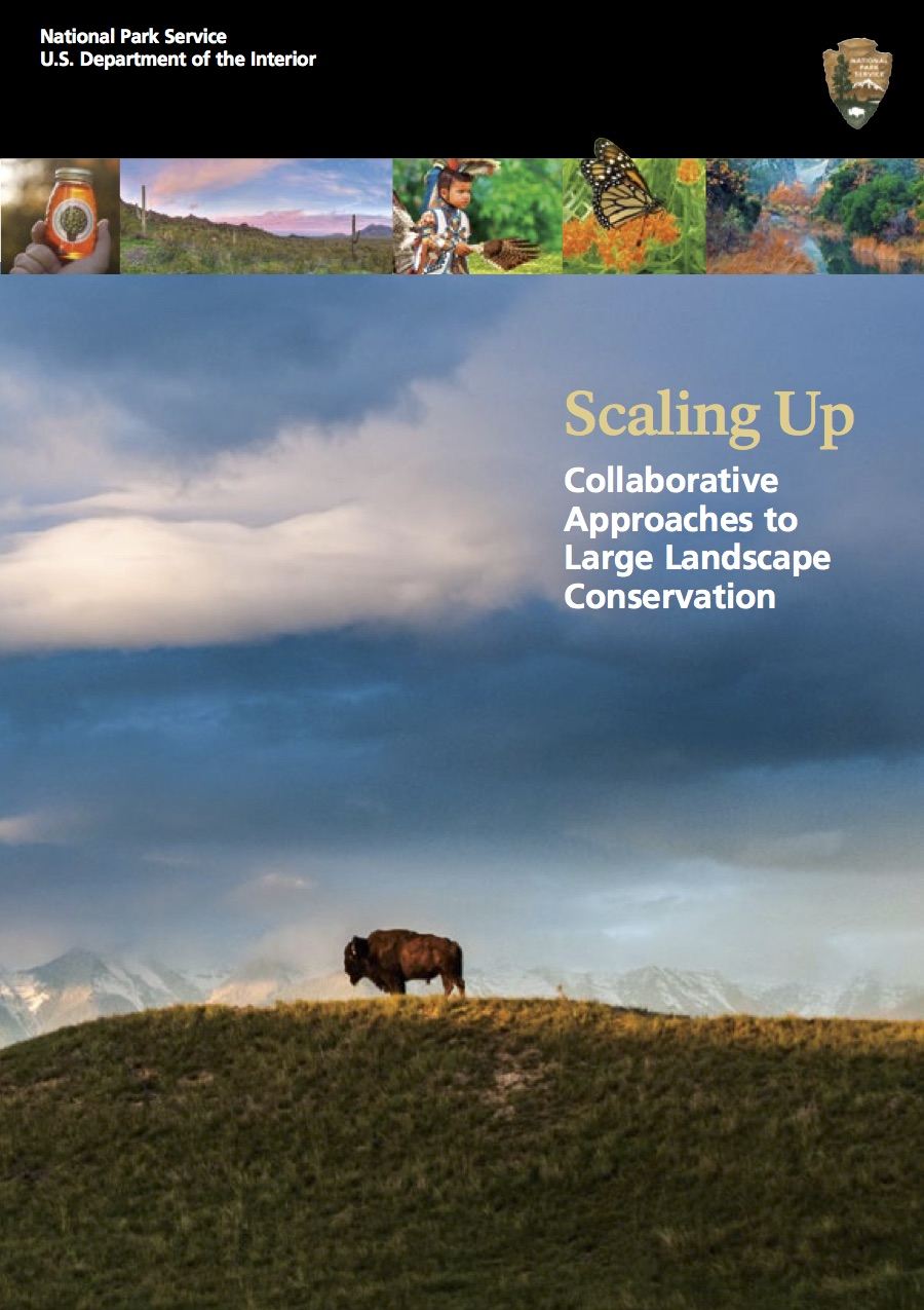 Scaling Up: Collaborative Approaches to Large Landscape Conservation ...