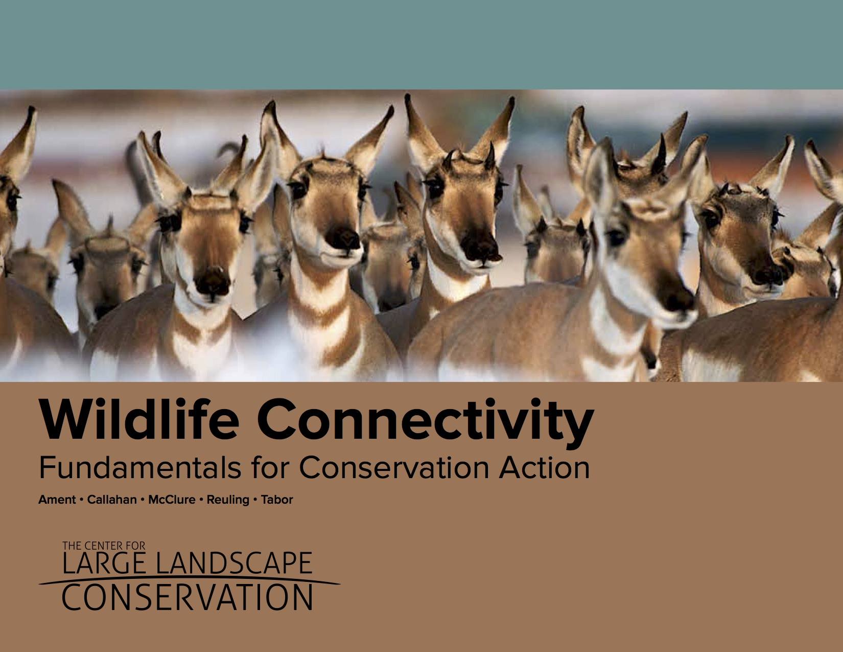 Wildlife Connectivity: Fundamentals for Conservation Action - Network ...