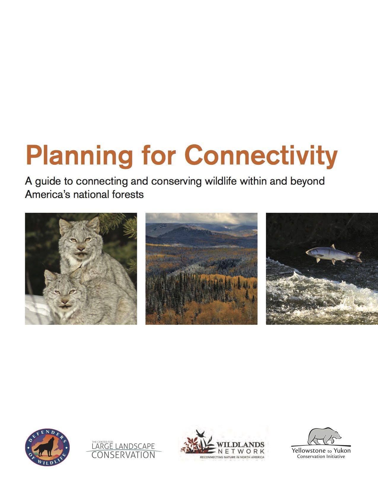 Planning for Connectivity: A guide to connecting and conserving ...