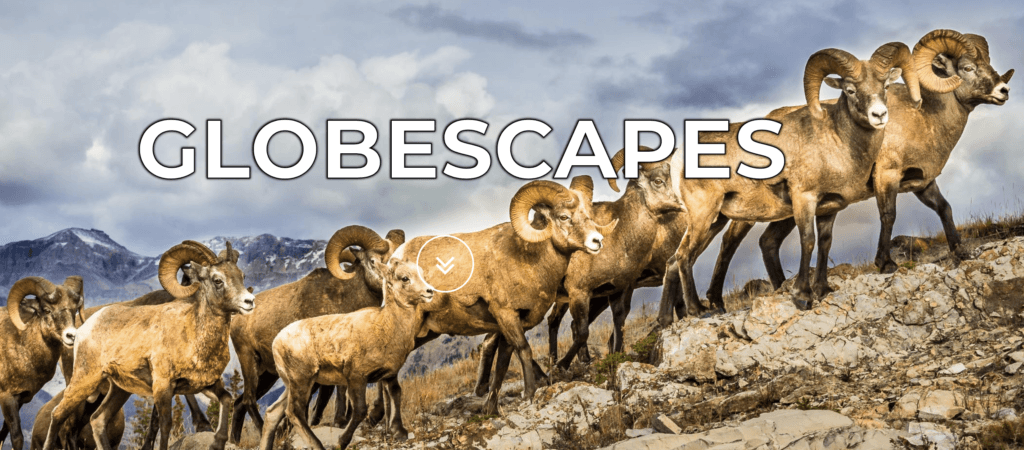 Initiatives Database - Network for Landscape Conservation