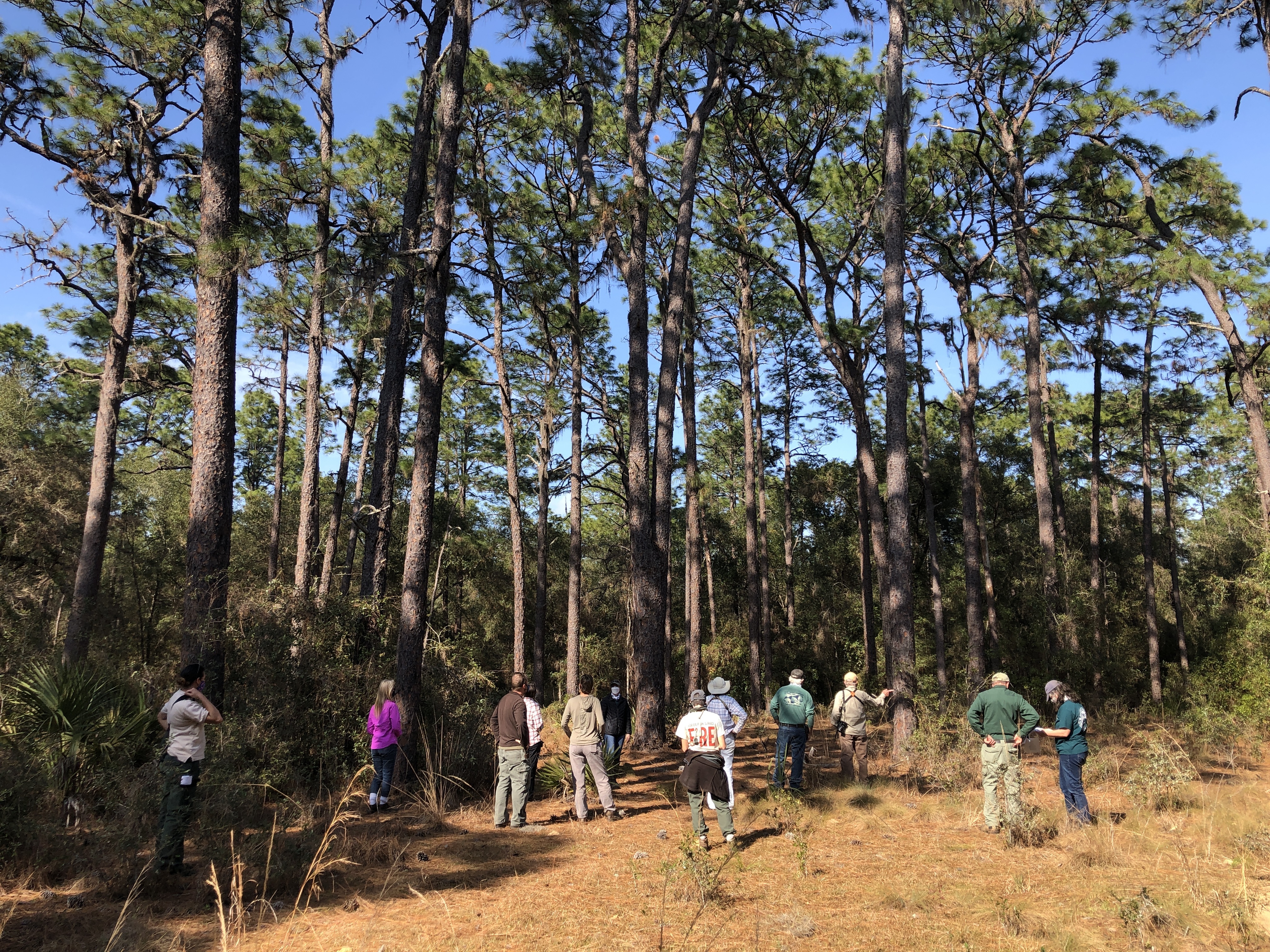 From Land Trusts to Landscapes: How Capacity Funding Brings ...