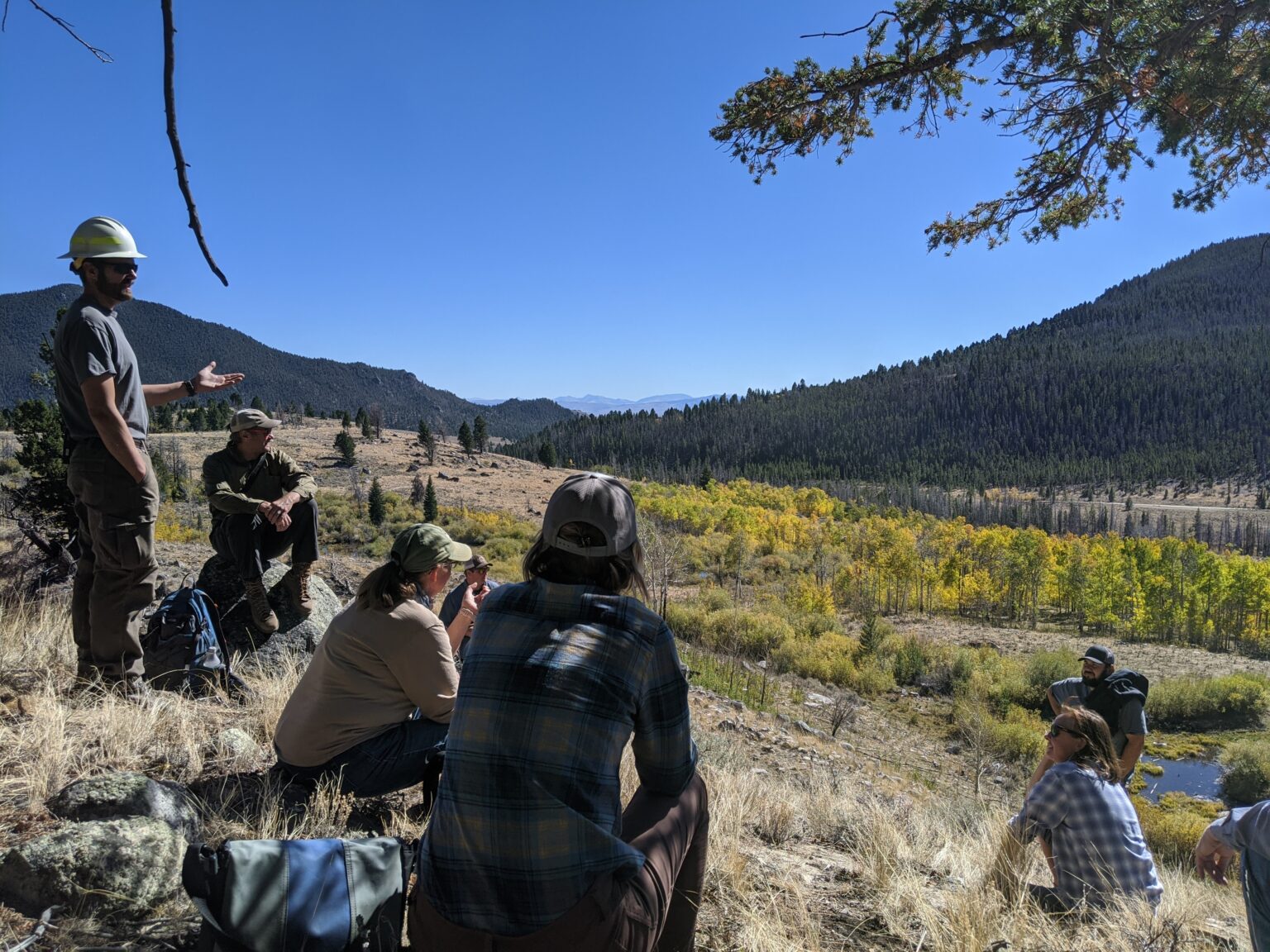 A coming of age moment for collaborative, from-the-bottom-up landscape ...