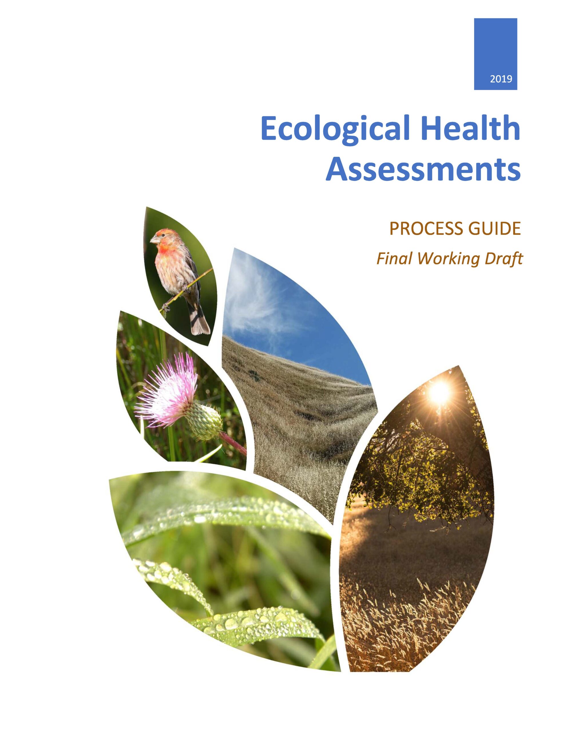 Ecological Health Assessments: Process Guide - Network for Landscape ...