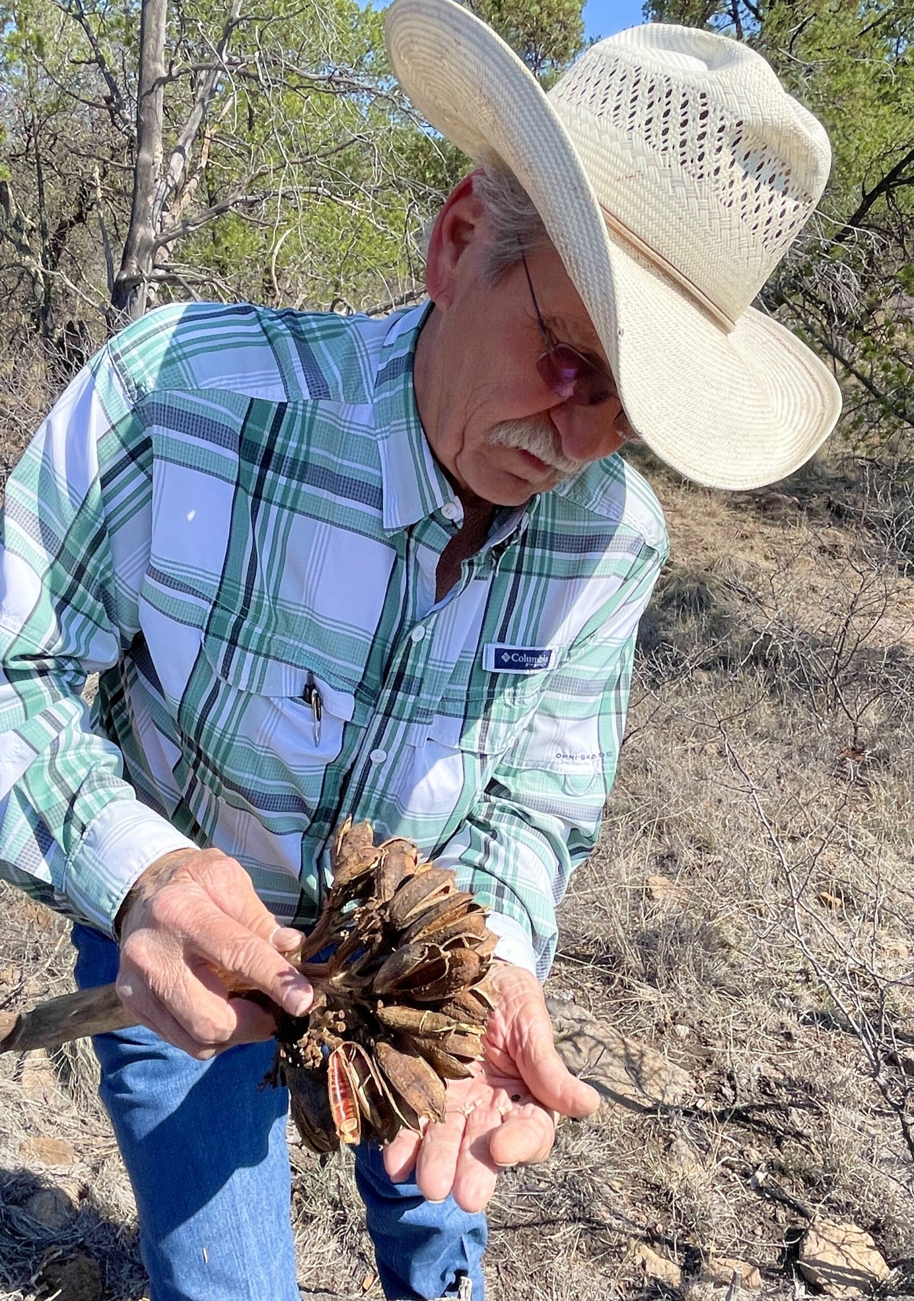 Insights and reflections from Bat Conservation International’s Agave ...